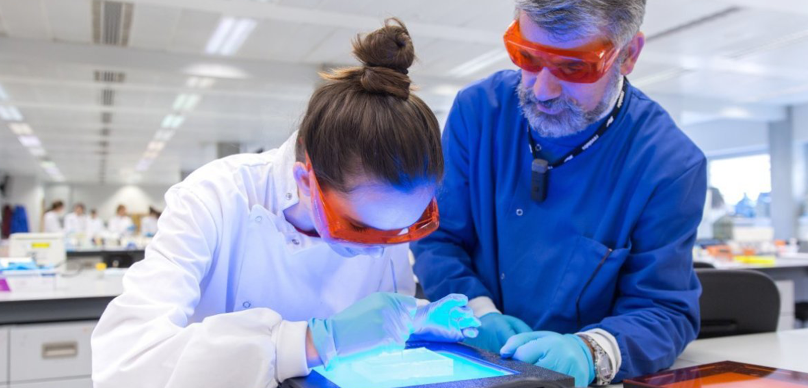 Bachelor of Biotechnology with German for Science - Study Abroad ...