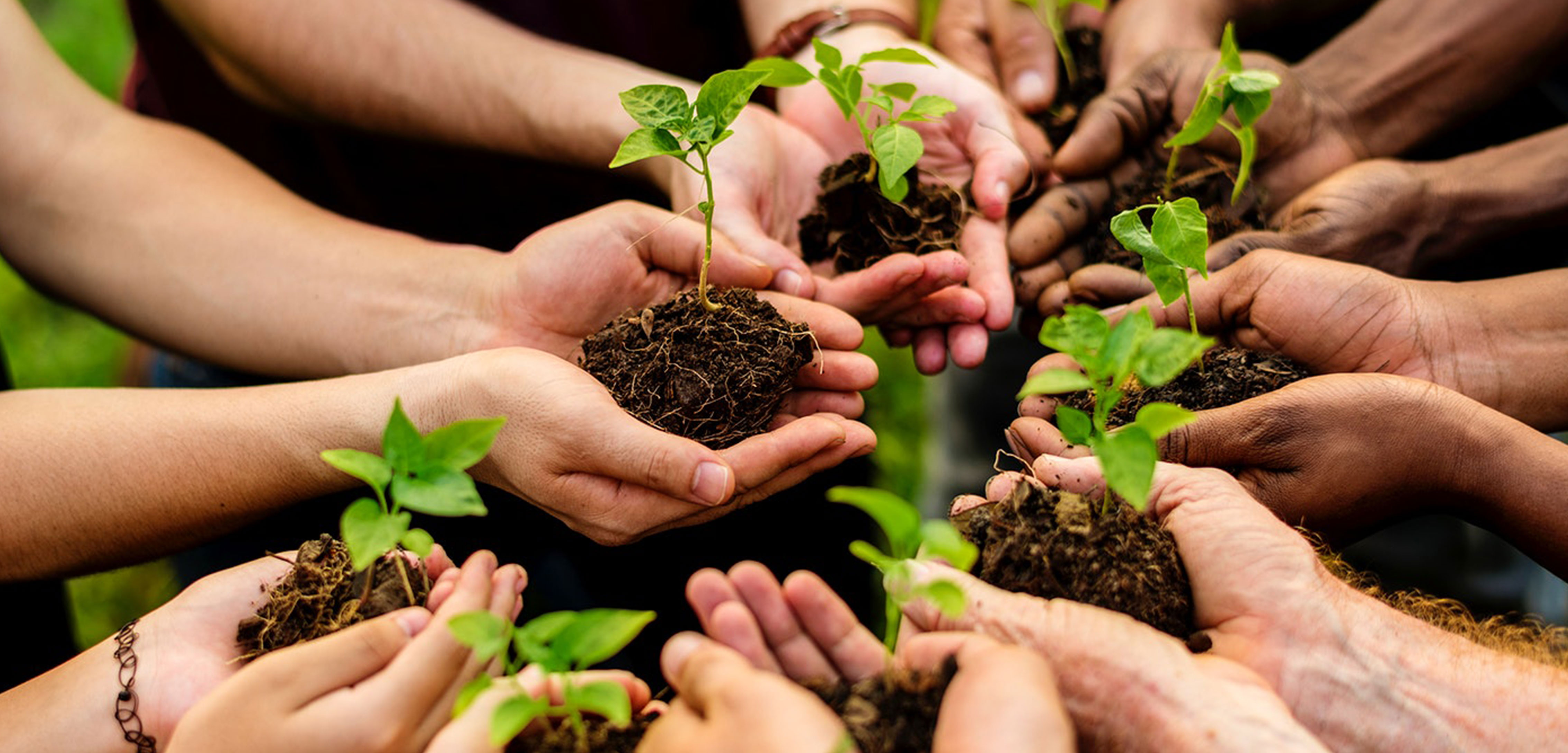 Master of Education in Sustainability, Creativity and Innovation ...