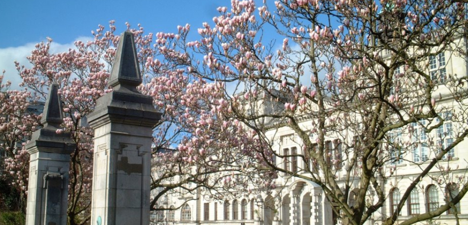 Cardiff University - Study Abroad Application Platform | ApplyZones