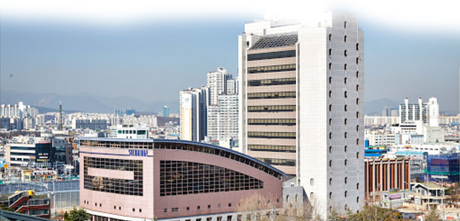 SolBridge International School of Business - SolBridge - Study Abroad ...